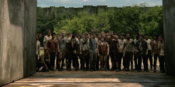 Maze Runner Boyfriend Quiz! - Quiz | Quotev