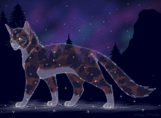 How Well Do You Know Cats From the Warriors Series? - Test | Quotev