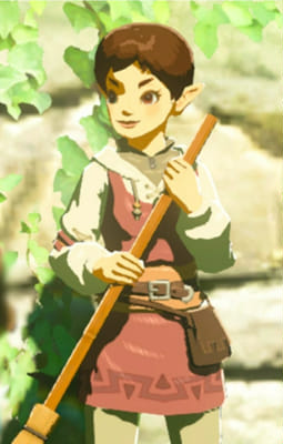 Guess the Botw NPC's - Test | Quotev