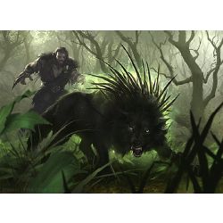 Which animal spirit is watching over you? - Quiz | Quotev