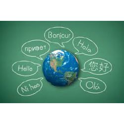 What Language Should You Learn? - Quiz | Quotev