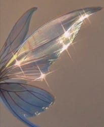 which type of fairy are you? - Quiz | Quotev