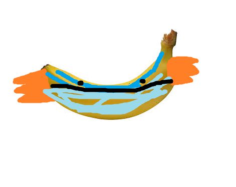 Do You Know Nana! - Test | Quotev