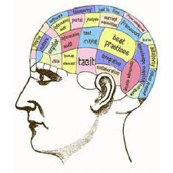 How much common knowledge do you have? - Test | Quotev