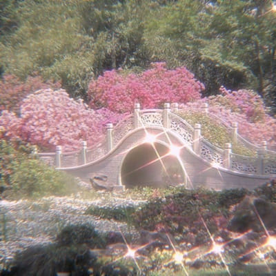 Build a fairycore wardrobe and get a Disney Fairy - Quiz | Quotev