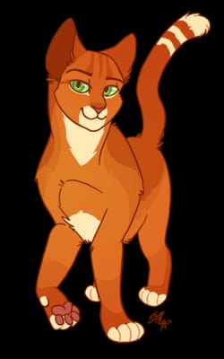 Warrior Cats 1st Arc Knowledge Test! - Test | Quotev