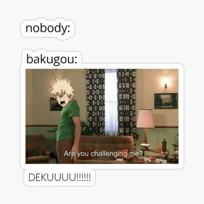 which mha/bnha character do you kin? - Quiz