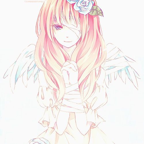 Queen of Neko | Quotev