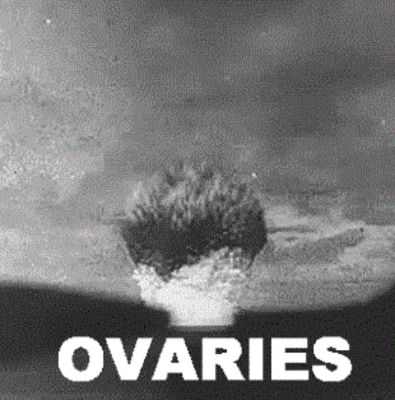 You're Ovaries Exploded | Can Your Ovaries Survive This Quiz? - Quiz ...