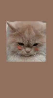 Pick some random images and get a Catfish (TV show on MTV) meme - Quiz