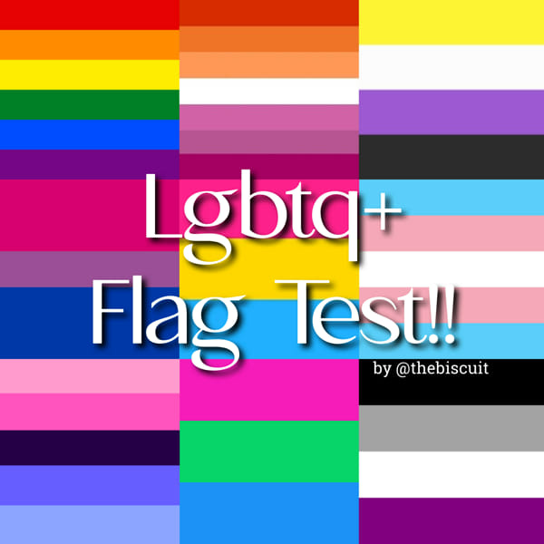Lgbtq+ flag test! - Test | Quotev