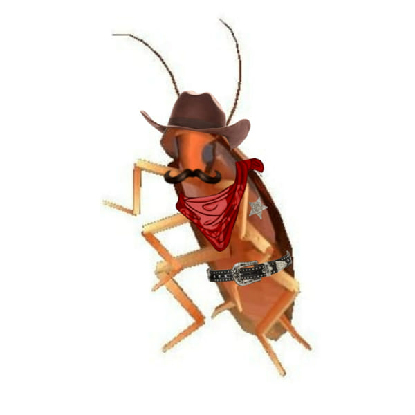 Dancing cowboy coc kroach fs | Quotev