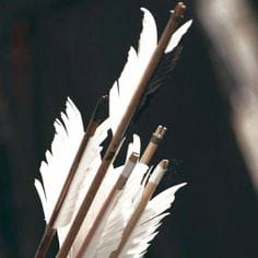 Which of the seven from HoO are you :) - Quiz | Quotev