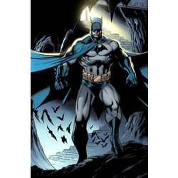 Ultimate Batman Quiz - Test | Quotev