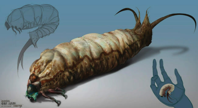 Na'vi Clan(Unofficial) - Quiz | Quotev