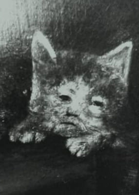 weirdcore - Test | Quotev