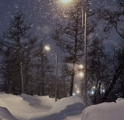 Are You More Like Augustine Or Winnie? - Cold Front - Quiz | Quotev