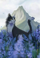 How much do you know about Warrior cats (1-3 series) - Test | Quotev