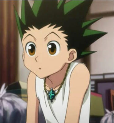 How much do you know about gon? - Test | Quotev