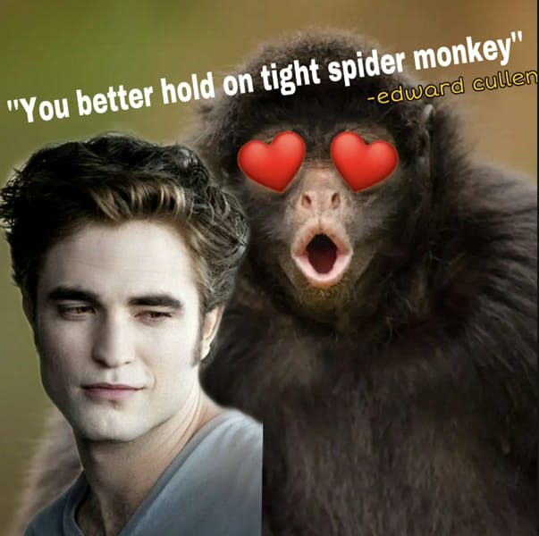 Pick some random images and get a twilight meme - Quiz | Quotev