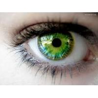 The logic truth behind your eyes - Quiz | Quotev