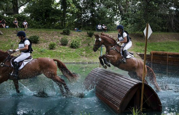 build your dream horse! - Survey | Quotev