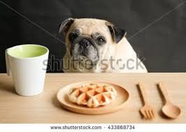 What food matches your personality? - Quiz | Quotev