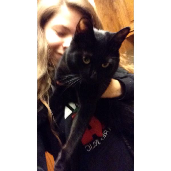 Starlight27 | Quotev