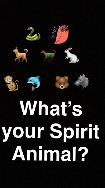 What s Your Spirit Animal? - Quiz | Quotev
