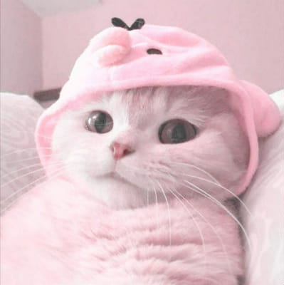 What Alien Stage character are you? - Quiz | Quotev