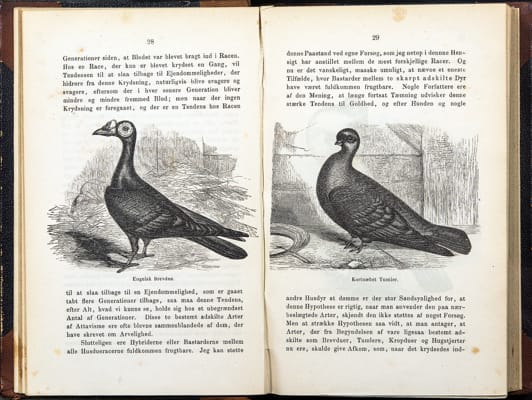 general knowledge test - Test | Quotev