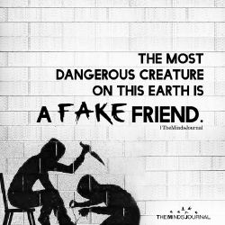 Do you have a fake friend quiz - Quiz | Quotev