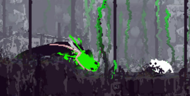 Rain World Slugcat Quiz (Downpour Included) [No Inv/Enot] - Quiz | Quotev