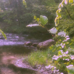 Fairy School Application!¡ - Quiz | Quotev