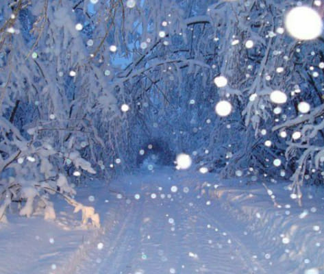 Are You More Like Augustine Or Winnie? - Cold Front - Quiz | Quotev