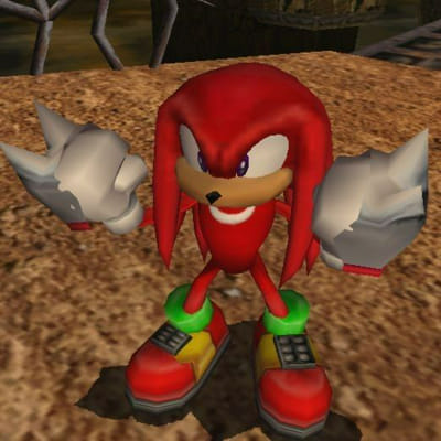 What Does Knuckles Think About You? - Quiz | Quotev