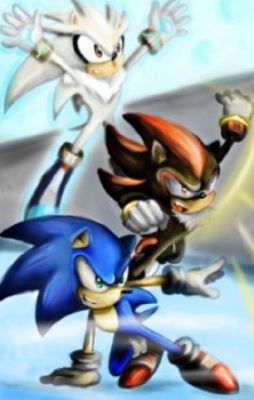 Sonic Writing Prompts - Survey | Quotev