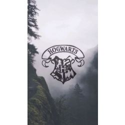 Harry potter trivia quiz - Test | Quotev