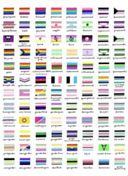 Pride Flag Quiz - Test | Quotev