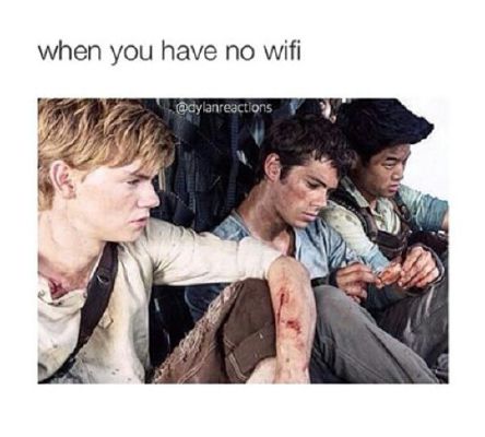 Your Maze Runner Boyfriend - Quiz | Quotev