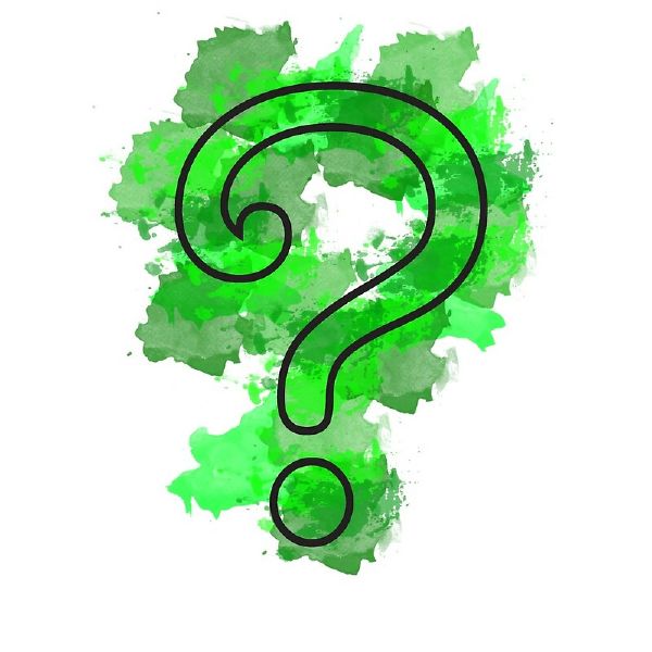 Random Survey - Survey