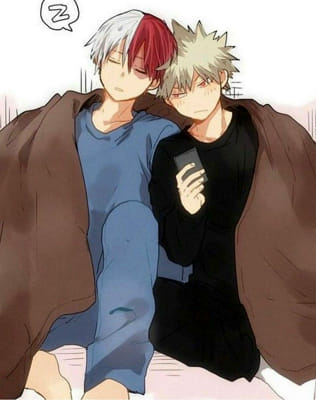 Ship or Rip (Mha edition) - Survey | Quotev