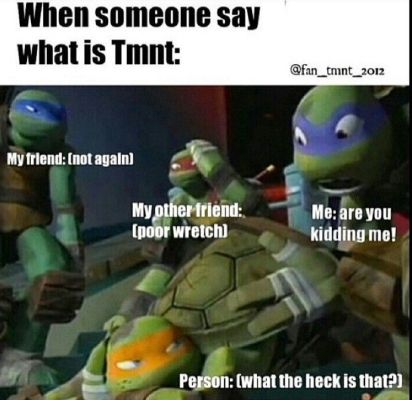 Turtles Rule Meme