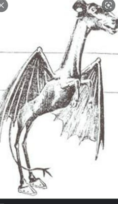 Which cripted is this - Quiz | Quotev