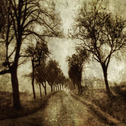 What ghost follows you? *Long results* - Quiz | Quotev