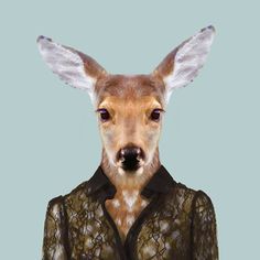 What Animal Were You In A Past Life? - Quiz | Quotev