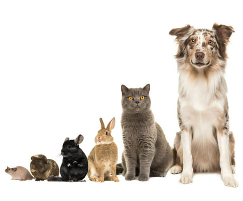 Who is your best friend from Treasure? KPOP - Quiz | Quotev