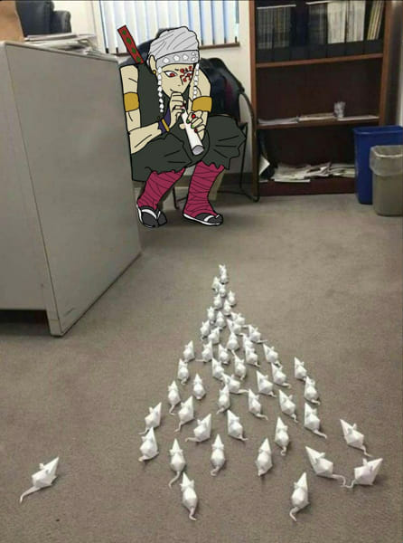 Cursed KNY/Demon Slayer ships - Survey | Quotev