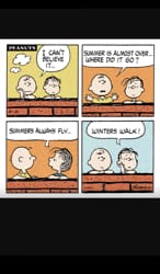 A charlie brown personality test - Quiz | Quotev