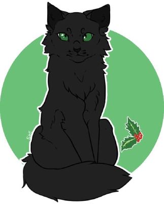 How Much Do You Know About Hollyleaf? - Test | Quotev